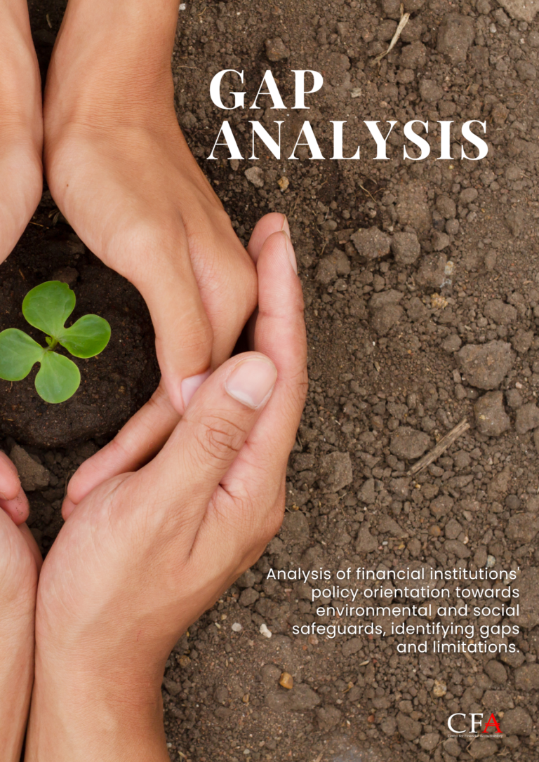Gap Analysis - Centre for Financial Accountability
