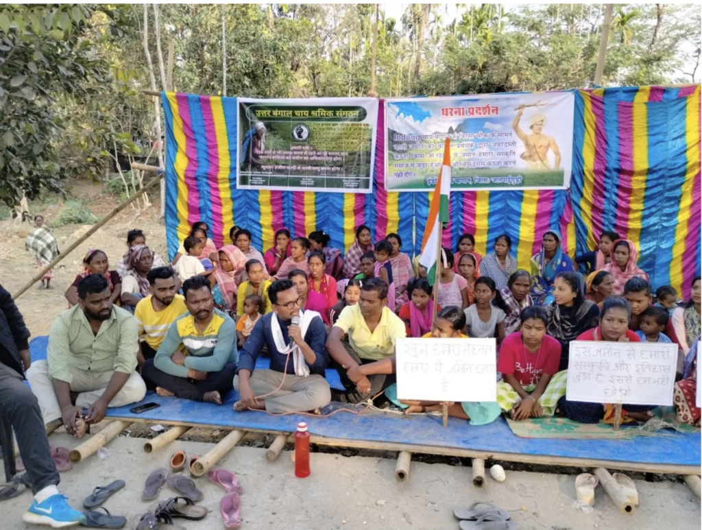 The mismatch in land demand vs land policy in West Bengal’s tea gardens ...