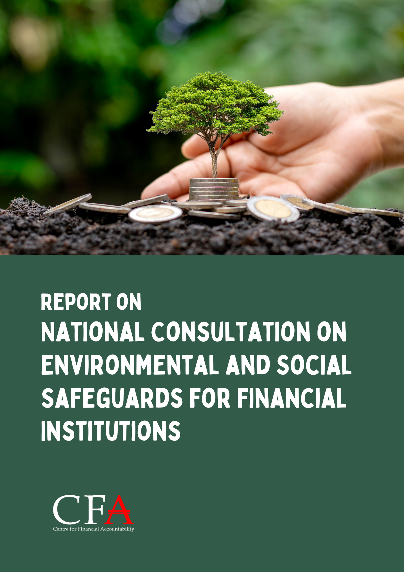 Report on National Consultation on Environmental and Social Safeguards ...